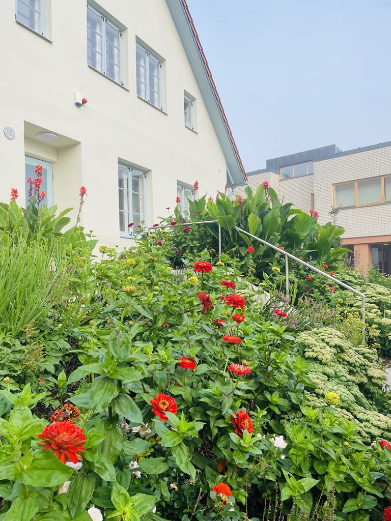 Tasuline koolitus: Aiakujunduse ABC